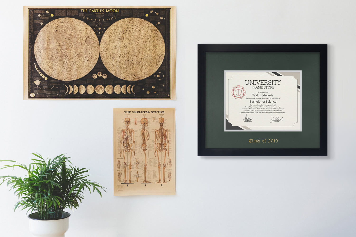 Custom Diploma Frames - Free Shipping | University Frame Store